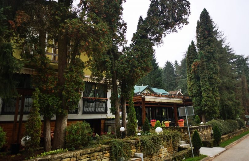 Lepote Srbije: Bor - planina Stol | SHINE magazin